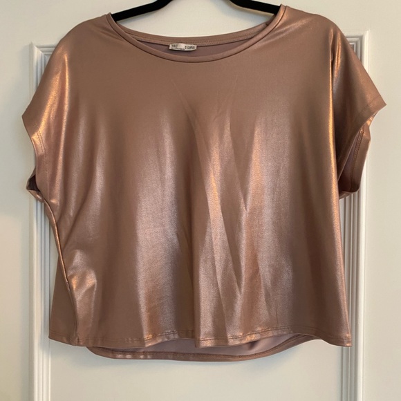Zara | Tops | Zara Metallic Rose Gold Top | Poshmark